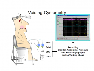 Urodynamics and Neuro-urology - Urology Malaysia